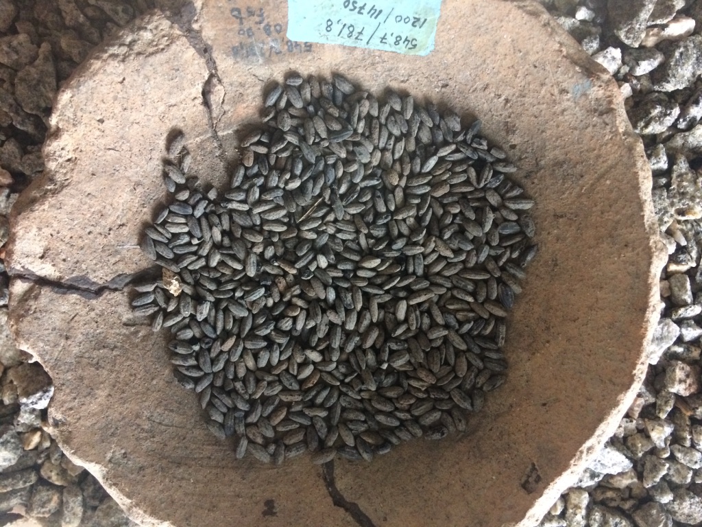 Open Lab hours, fridays 12-4pm POSTPONED UNTIL FURTHER NOTICE ...